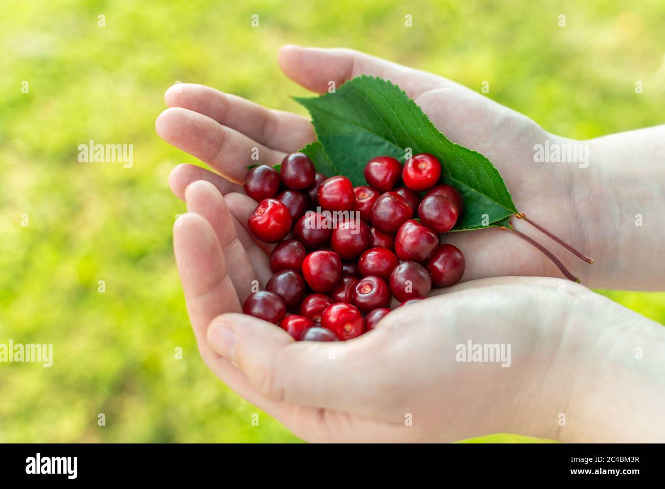 Hand touching fruit hi-res stock photography and images - Alamy