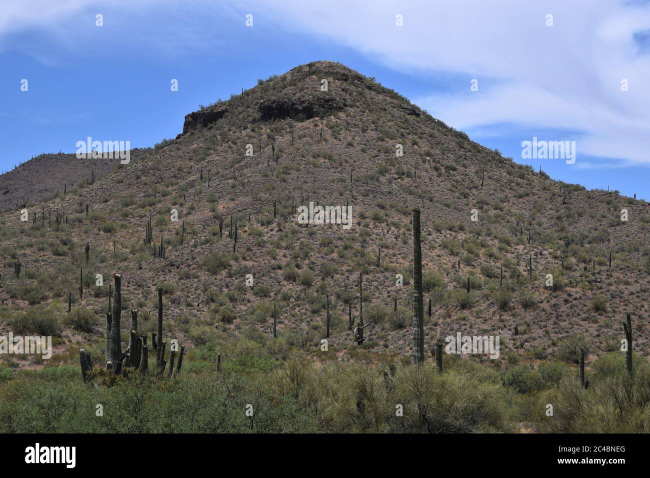 Scenic Arizona desert landscape Stock Photo - Alamy