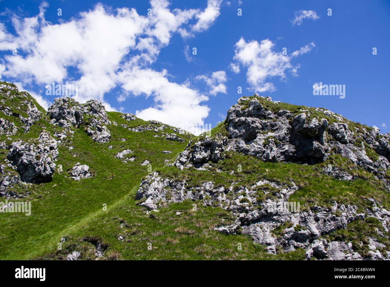 Various images of nature Stock Photo - Alamy