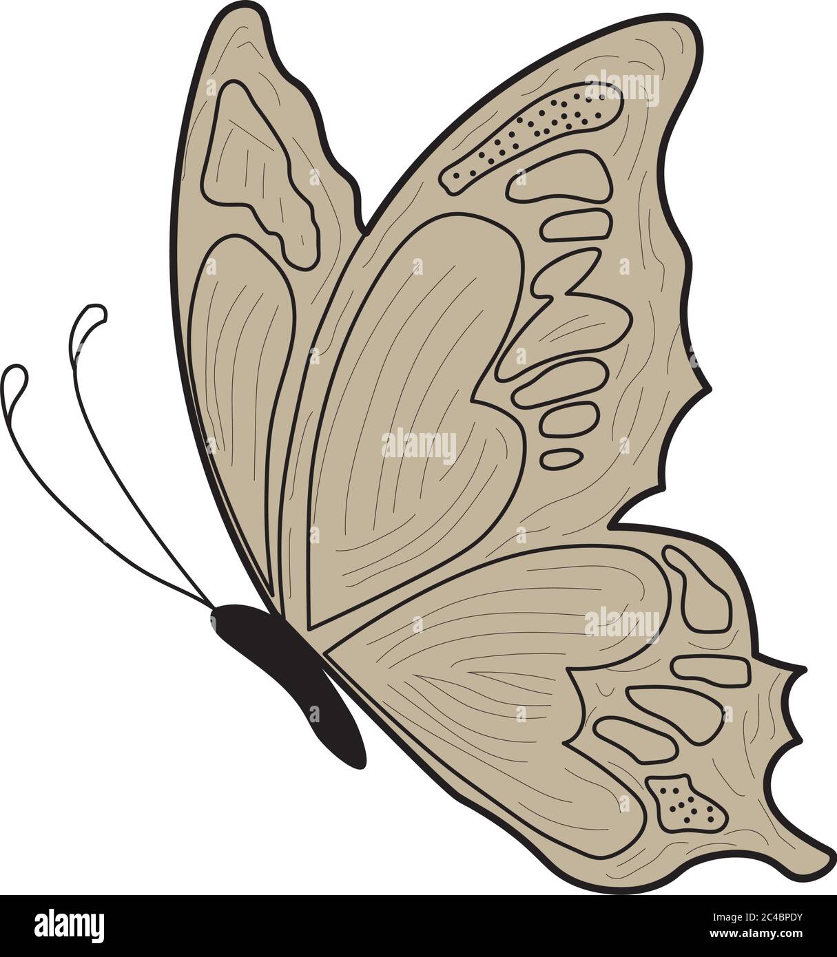 Butter fly design illustration flat vector Stock Vector Image & Art - Alamy