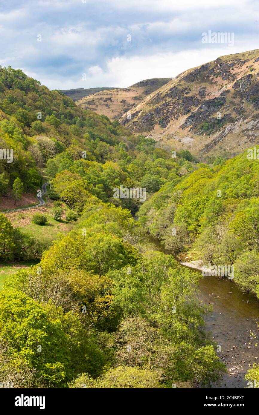 Stream running through trees hi-res stock photography and images - Alamy