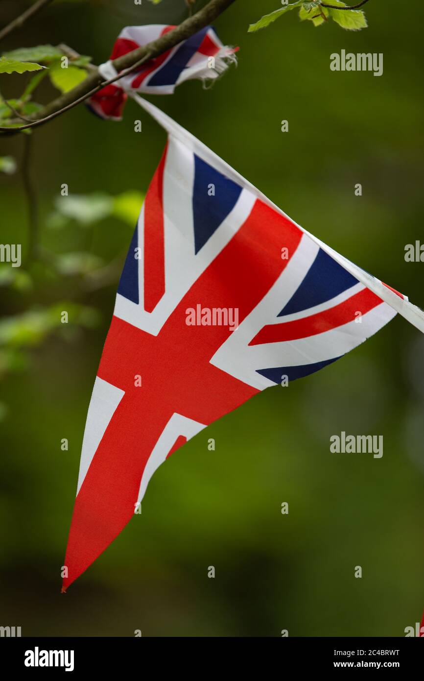 Union Jack pennant bunting hanging from a tree Stock Photo - Alamy