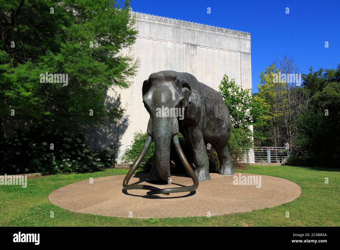 Dallas Museum Of Natural History High Resolution Stock Photography and ...