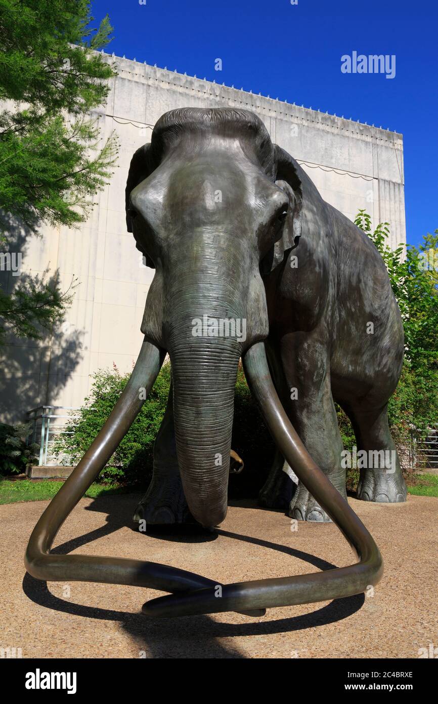 Mammoth, Natural History Museum, Fair Park, Dallas, Texas, USA Stock ...