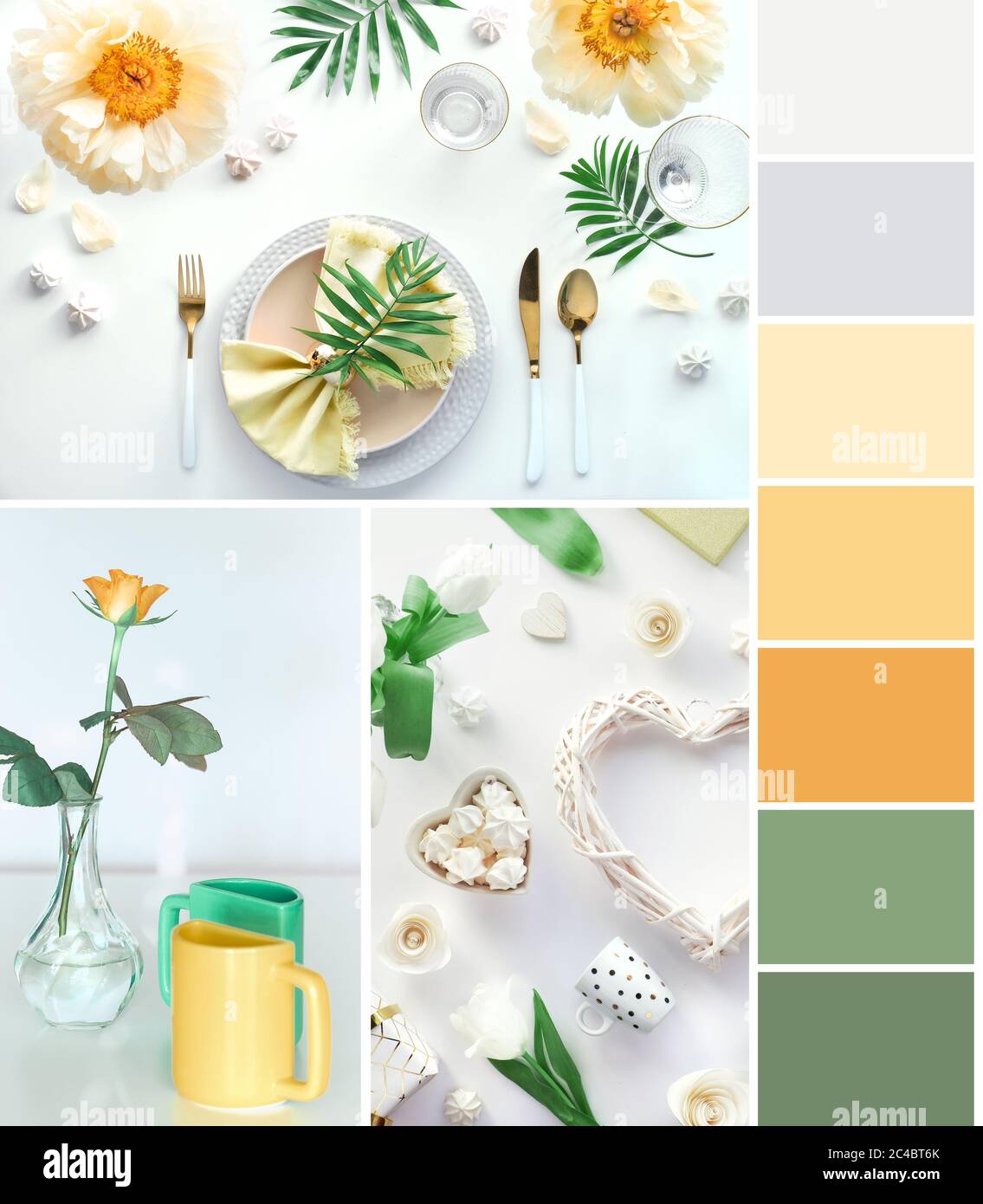 Color matching palette from top view image of chili peppers on grey ...