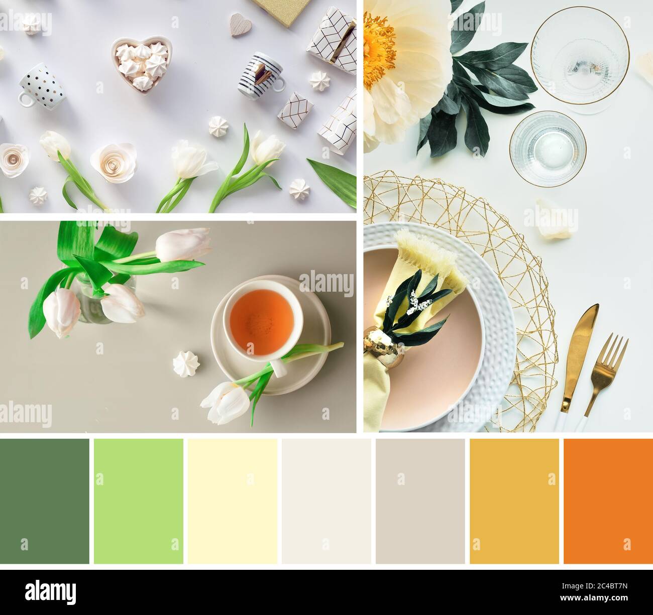 Color matching palette from top view image of chili peppers on grey ...