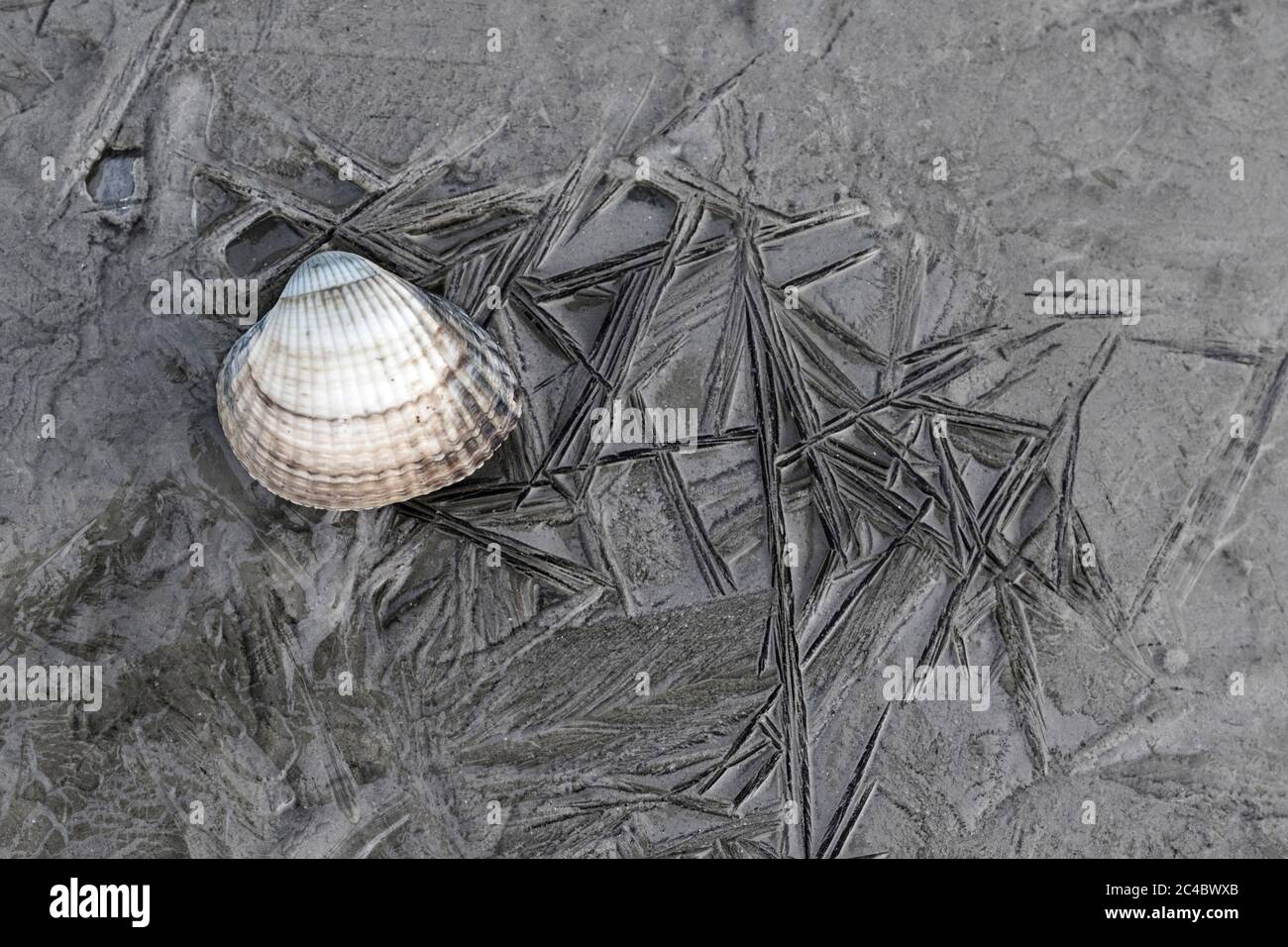 Frozen slobber hi-res stock photography and images - Alamy