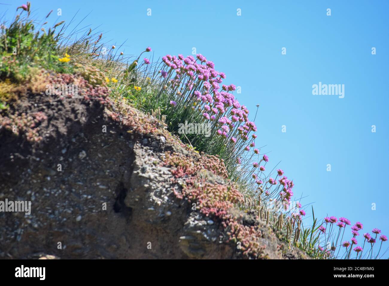 Vault Beach 140520 Stock Photo - Alamy