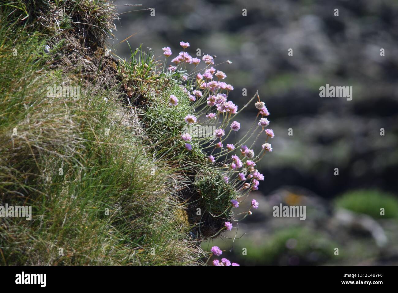 Vault Beach 140520 Stock Photo - Alamy
