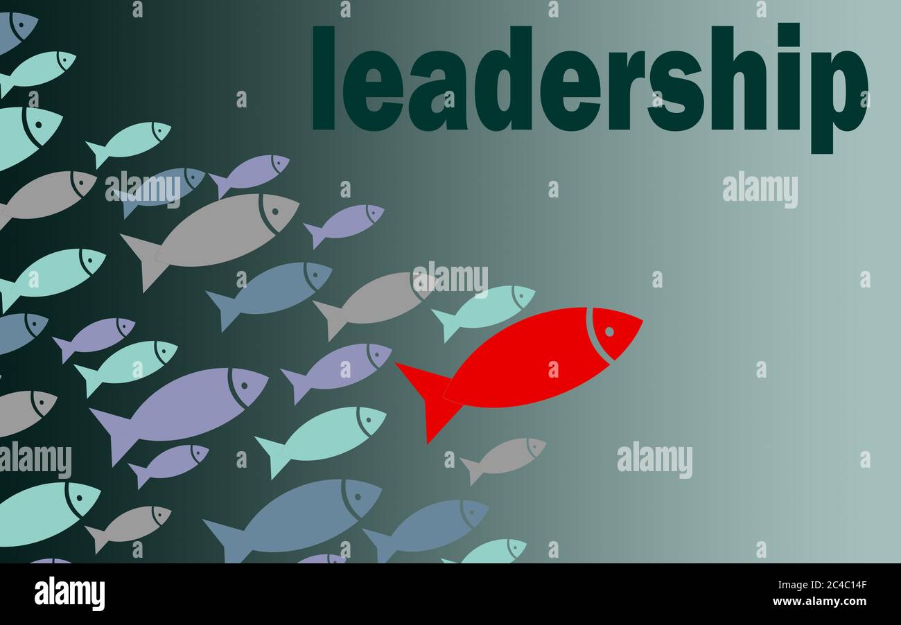 Leadership fish graphic on blue background, 3D rendering Stock Photo ...