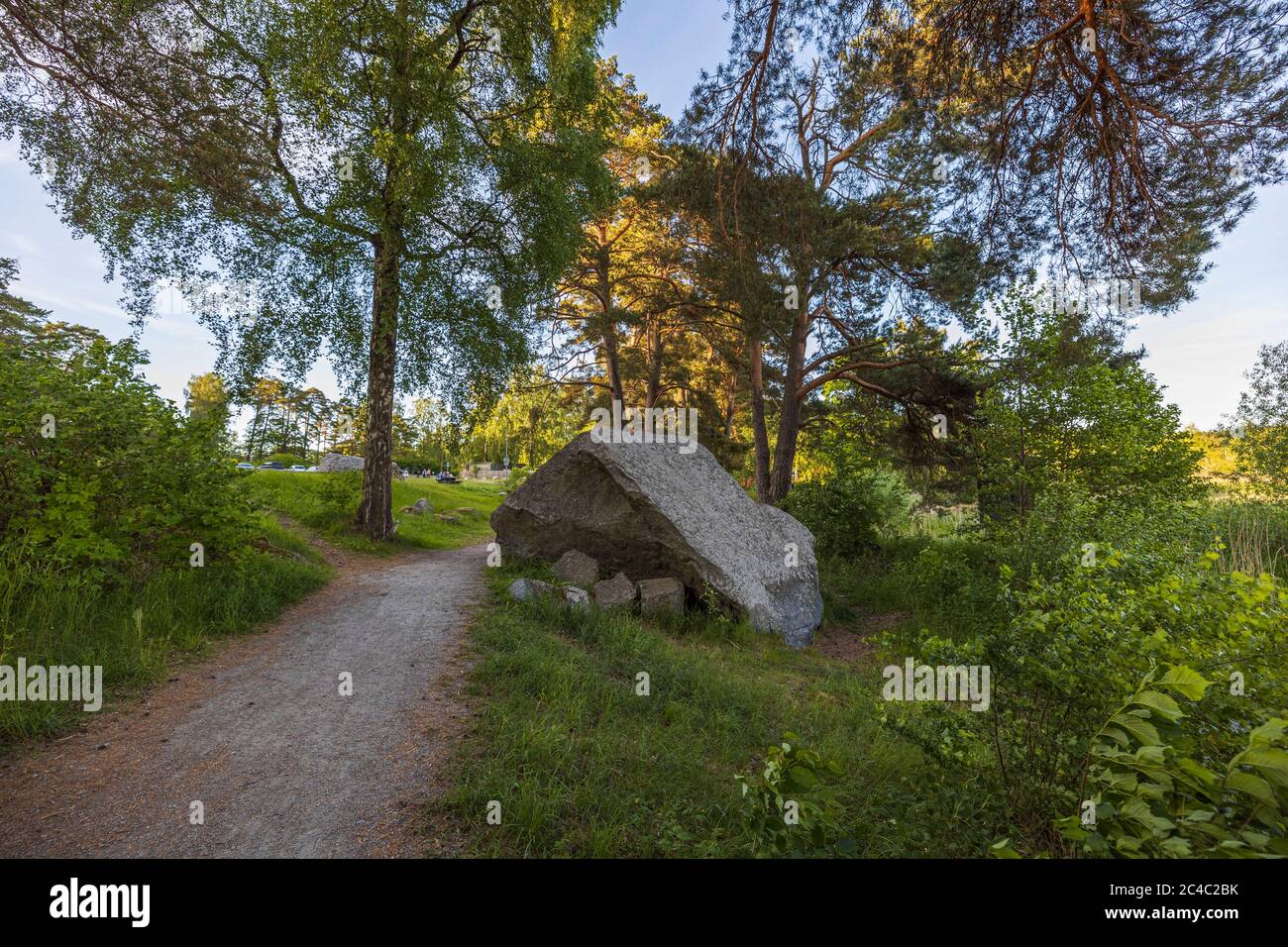 Strange natural form hi-res stock photography and images - Alamy