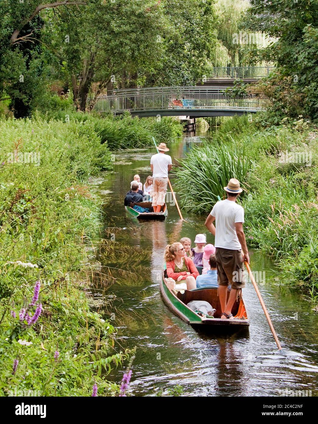 Boat Trip,Tour,Punt,Punting,River Stour,Canterbury,Kent,England Stock ...