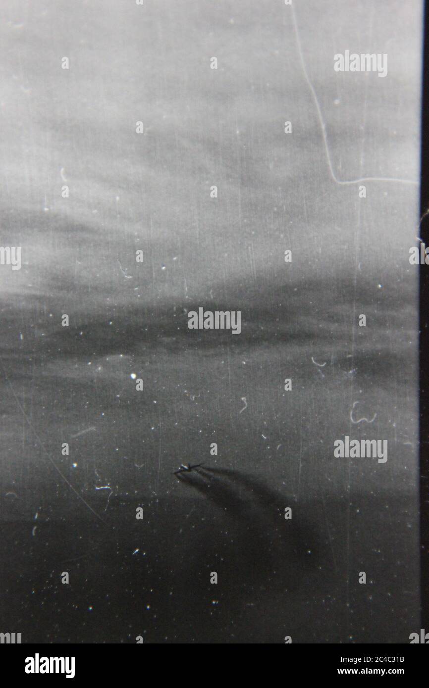 Fine 70s vintage contact print black and white photography of a jet plane flying thru the air ...