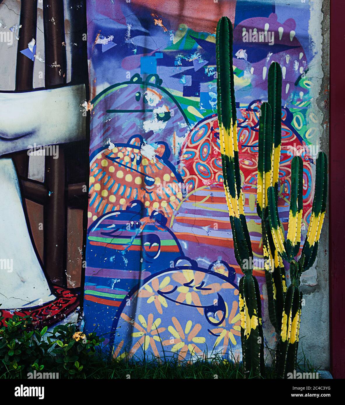Colorful cactus growing in front of a grafitti wall, Rio de Janeiro ...