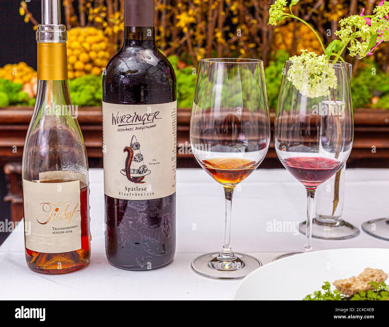 Rheingau Gourmet Festival in Hattenheim, Eltville am Rhein, Germany ...