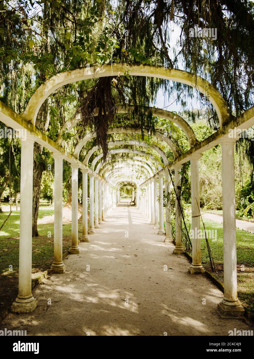 Botanical garden in rio de janeiro hi-res stock photography and images ...