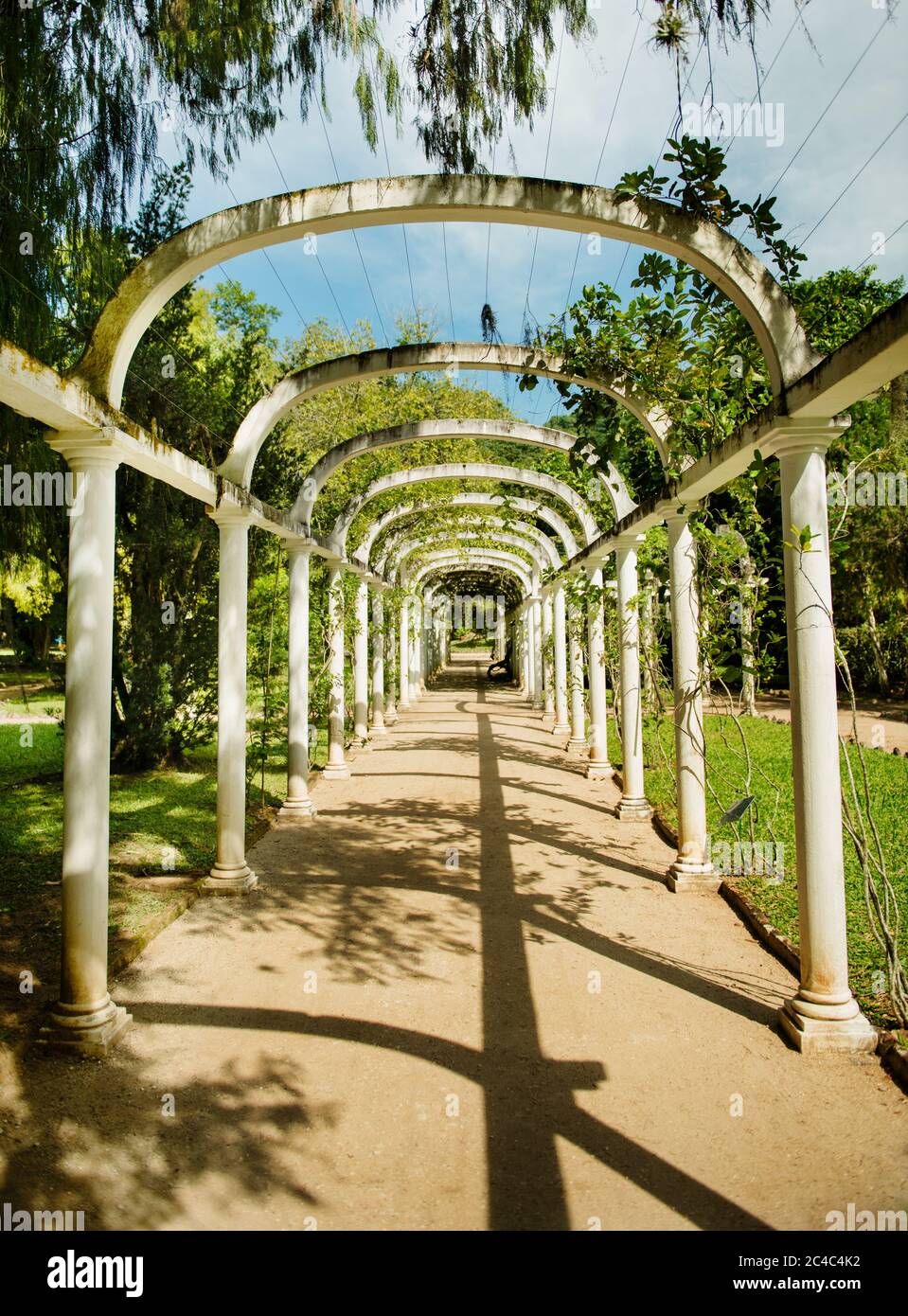Jardim botânico park, a botanical garden in rio de janeiro, Brazil ...