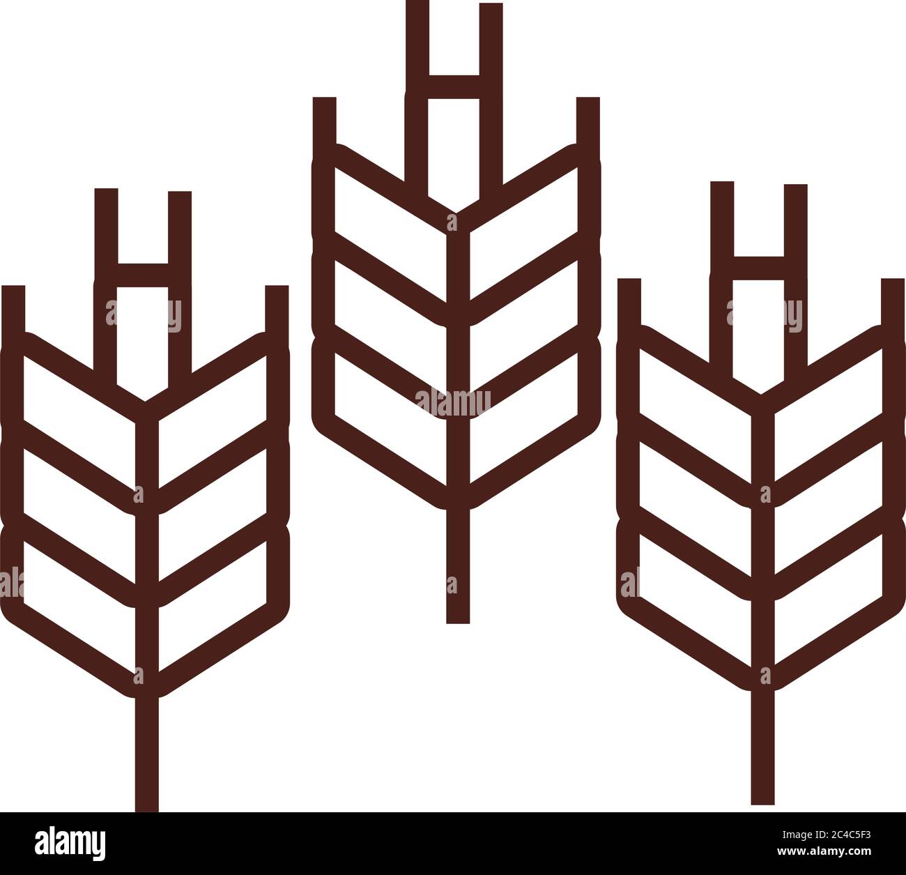 Spikes and rye grain Stock Vector Images - Alamy