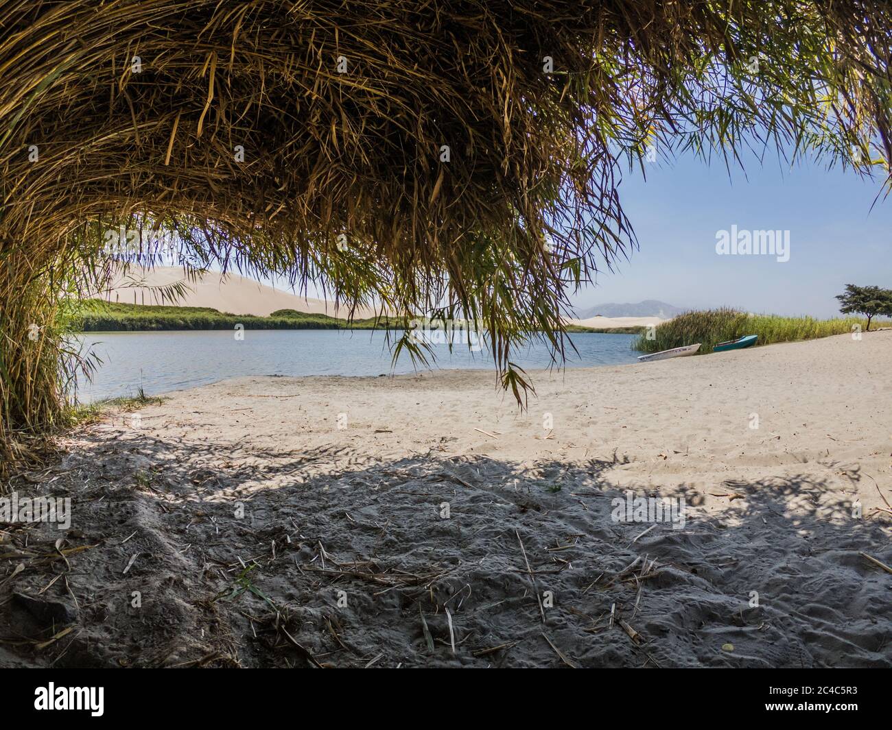 beautiful view of a oasis in the desert, one big bush, shadow and blue ...