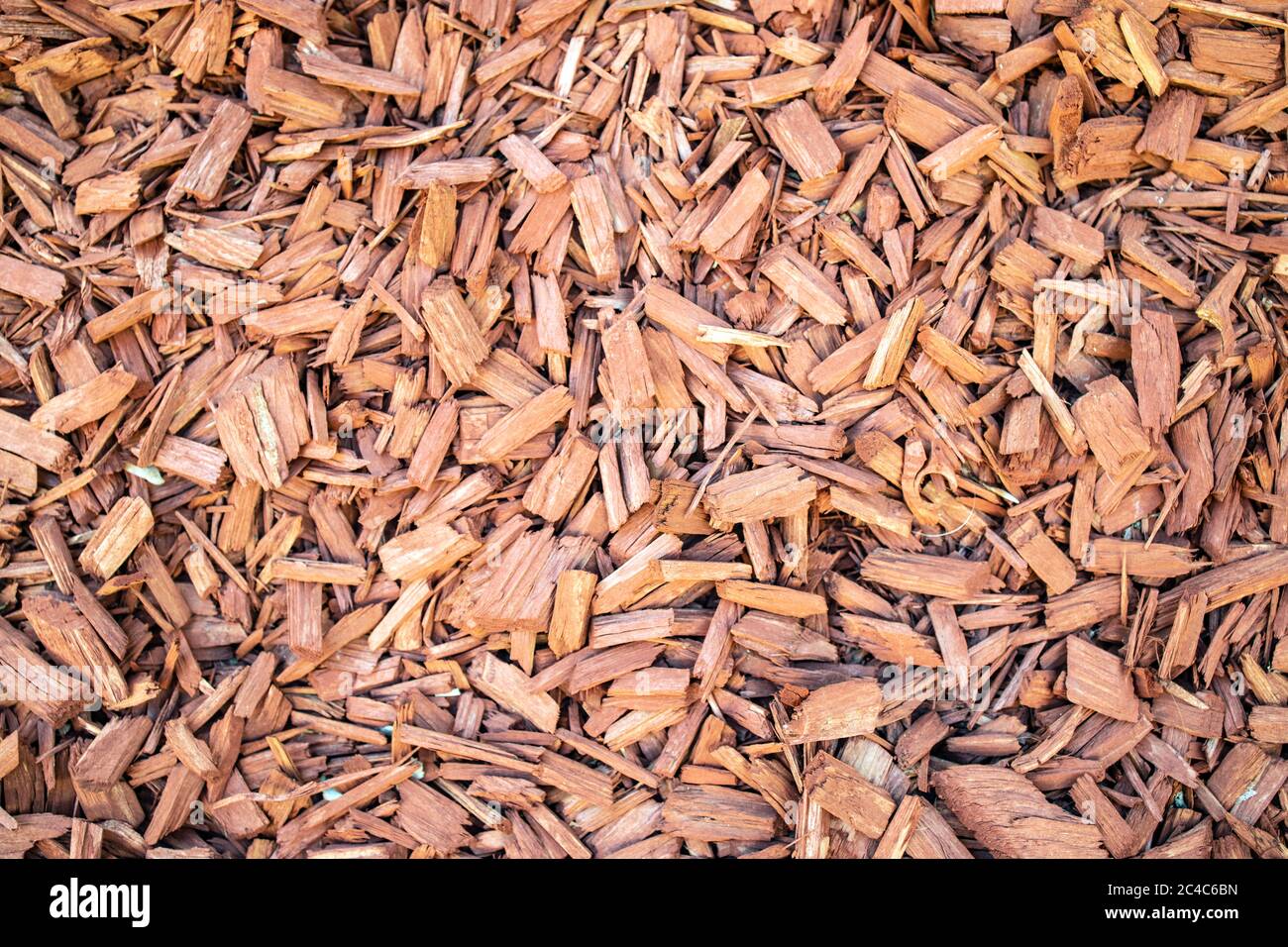 Mulched wood bark ground hi-res stock photography and images - Alamy