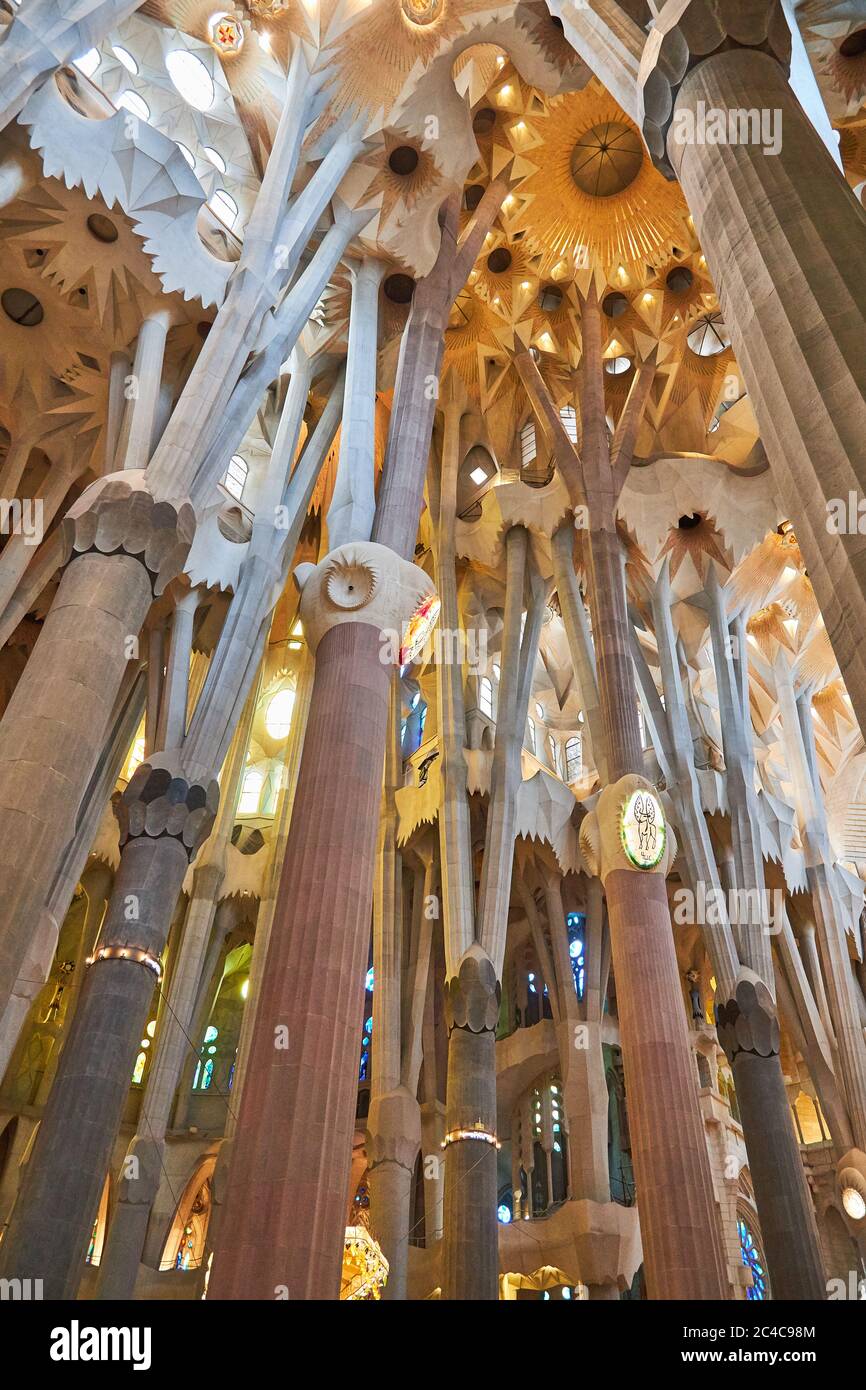 Detail of Sagrada Familia cathedral roof and vaulting in Barcelona, by ...