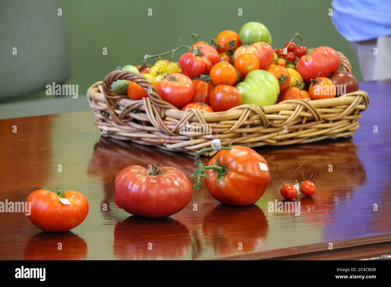 Different varieties of tomatoes displayed on a table as the prize ...