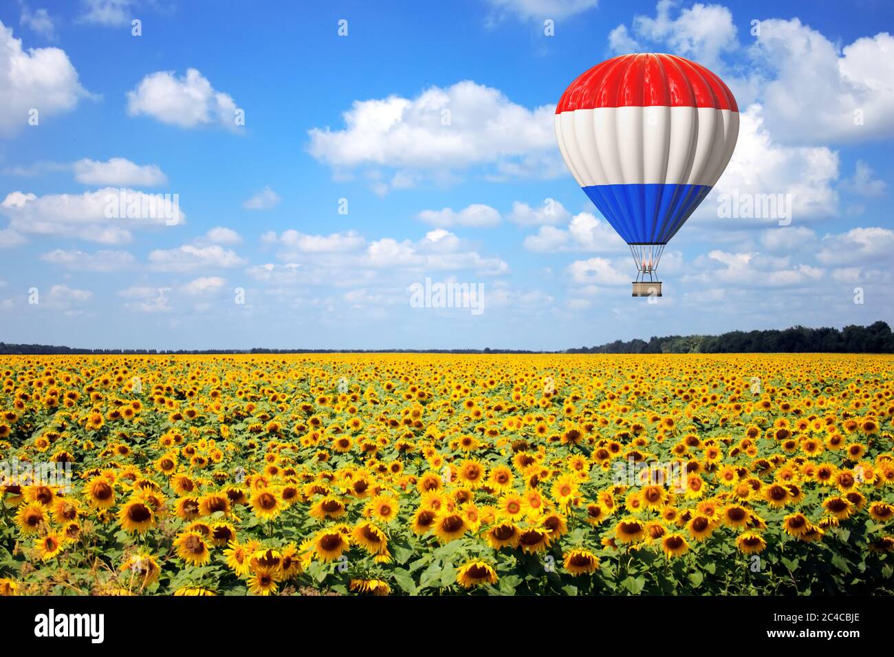 Sunflower hot air balloon hi-res stock photography and images - Alamy