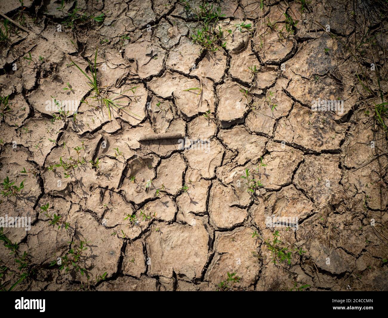 Fissured clay texture hi-res stock photography and images - Alamy
