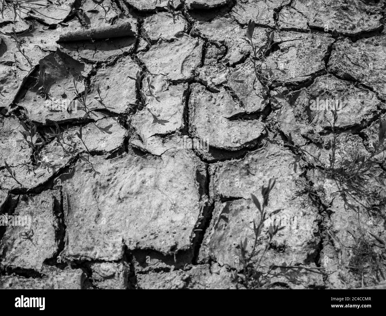 due to drought the soil is fissured and torn and forms a pattern Stock ...