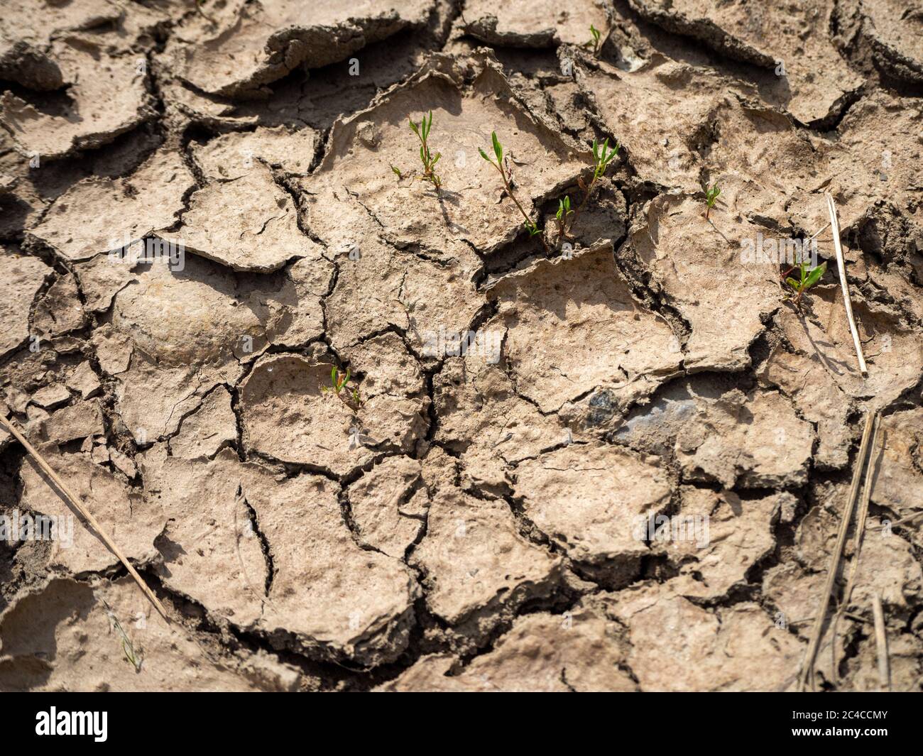 Fissured clay texture hi-res stock photography and images - Alamy