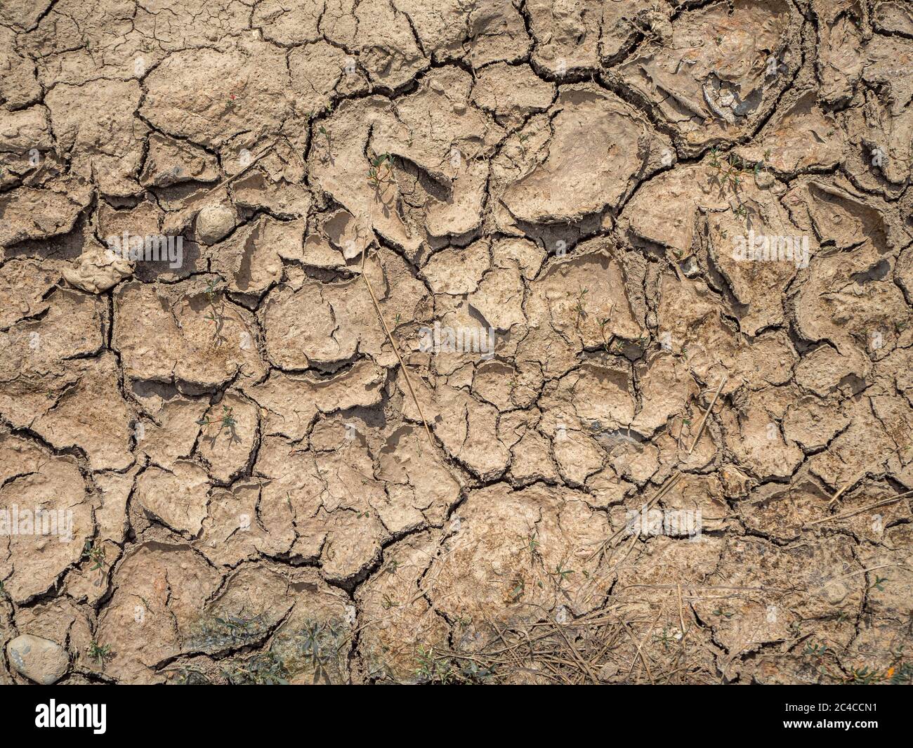 due to drought the soil is fissured and torn and forms a pattern Stock ...