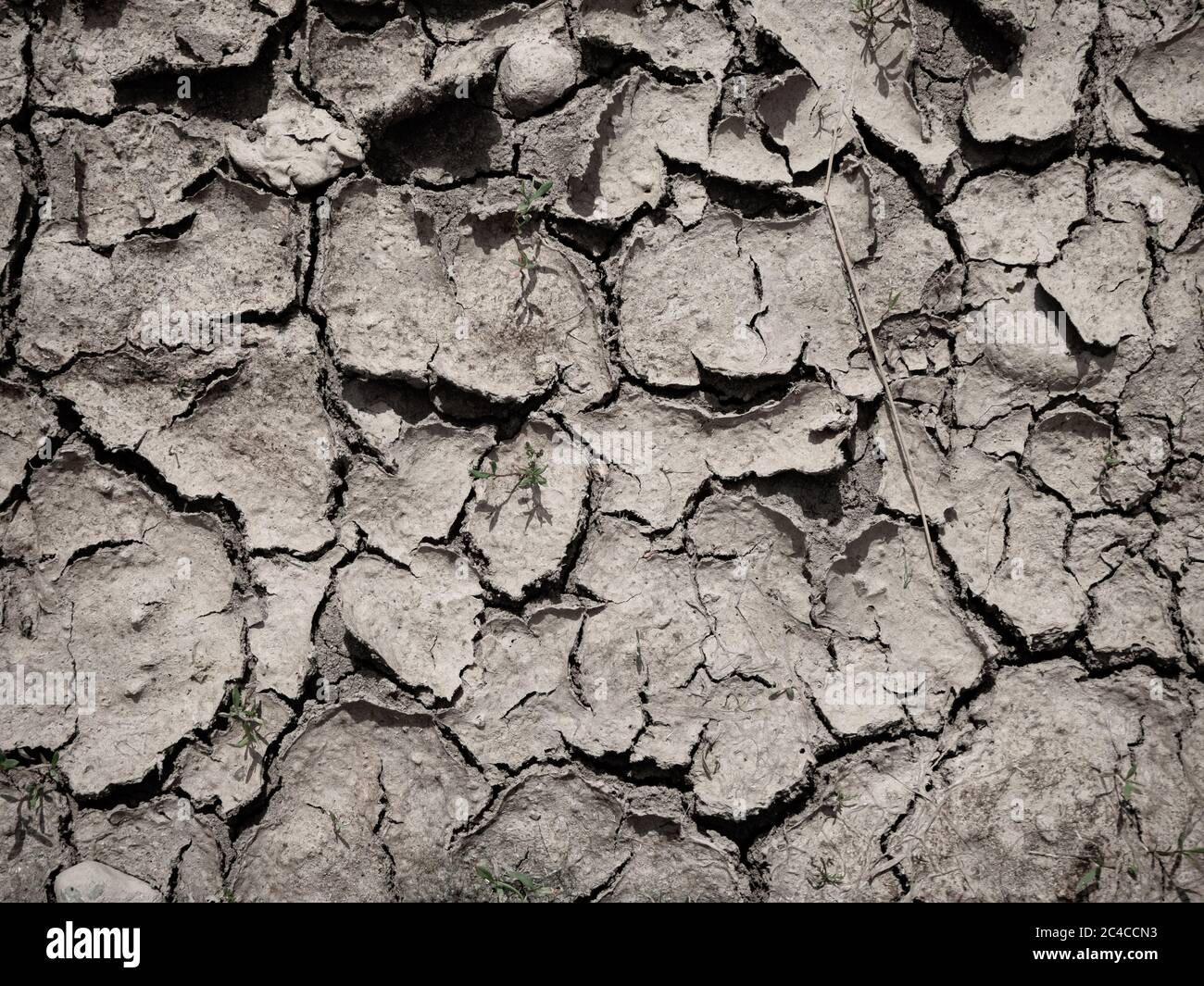 Fissured clay texture hi-res stock photography and images - Alamy