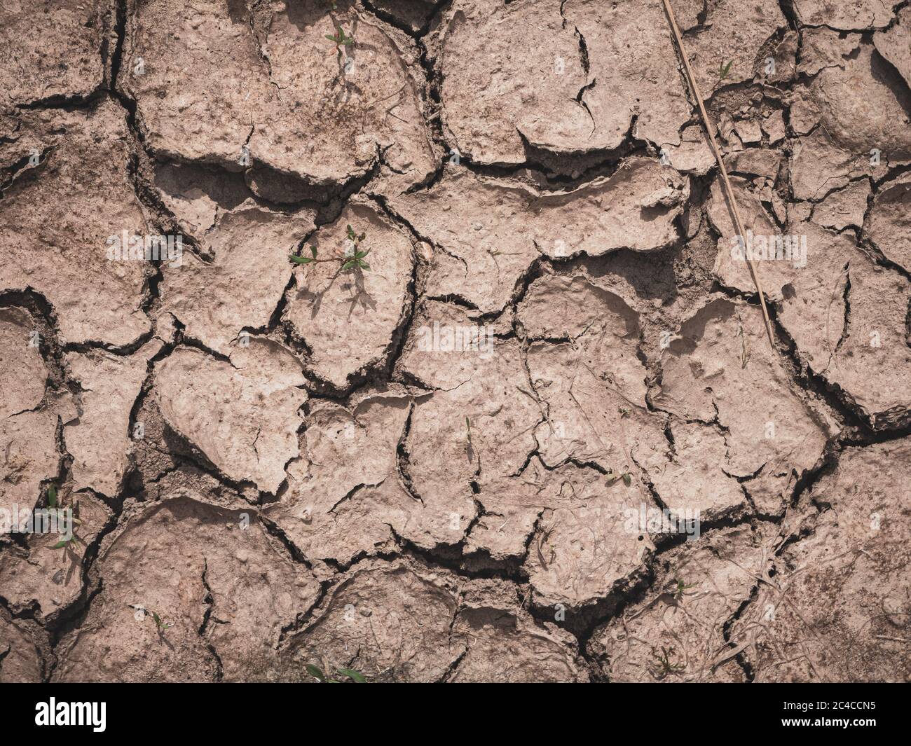 Fissured clay texture hi-res stock photography and images - Alamy