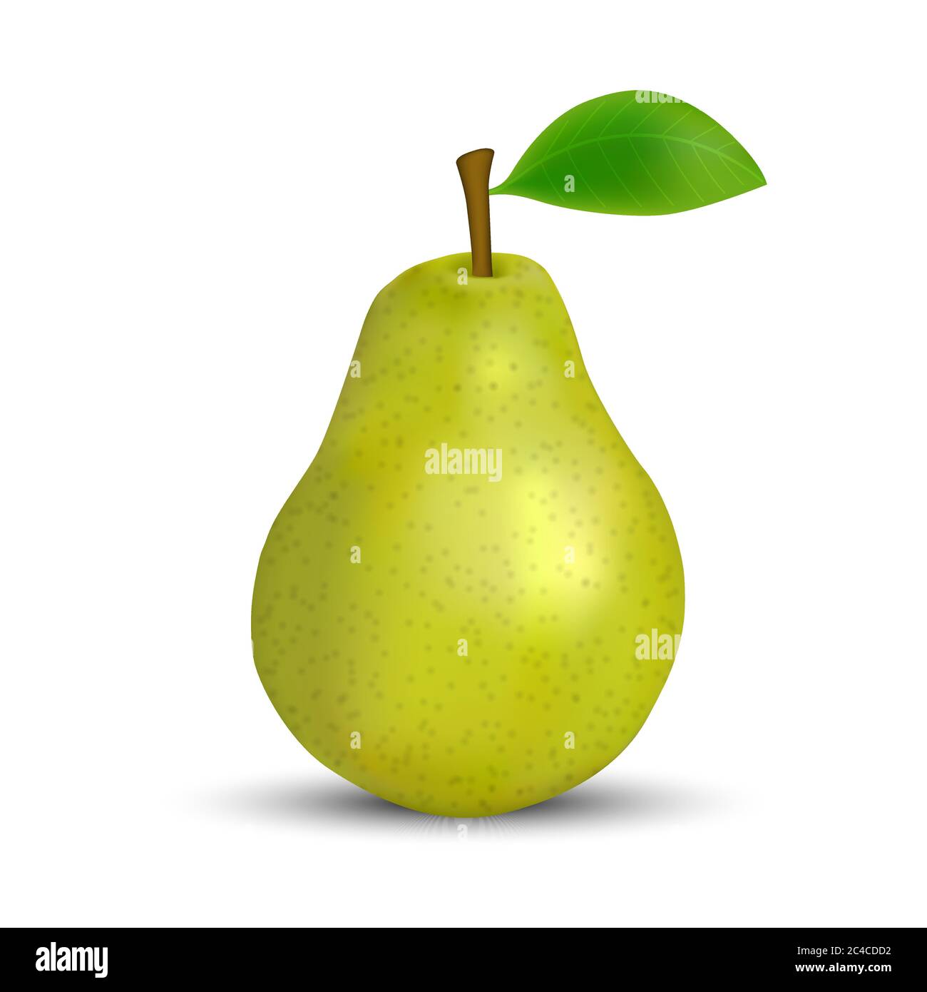 realistic 3d green pear isolated on white background Stock Vector Image ...