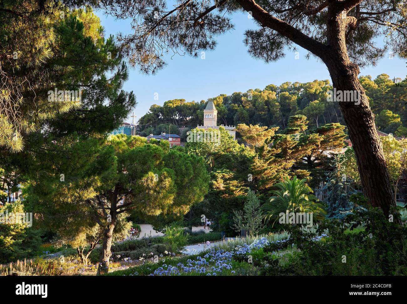 The gardens of Antoni Gaudi's Park Güell, Barcelona Stock Photo - Alamy
