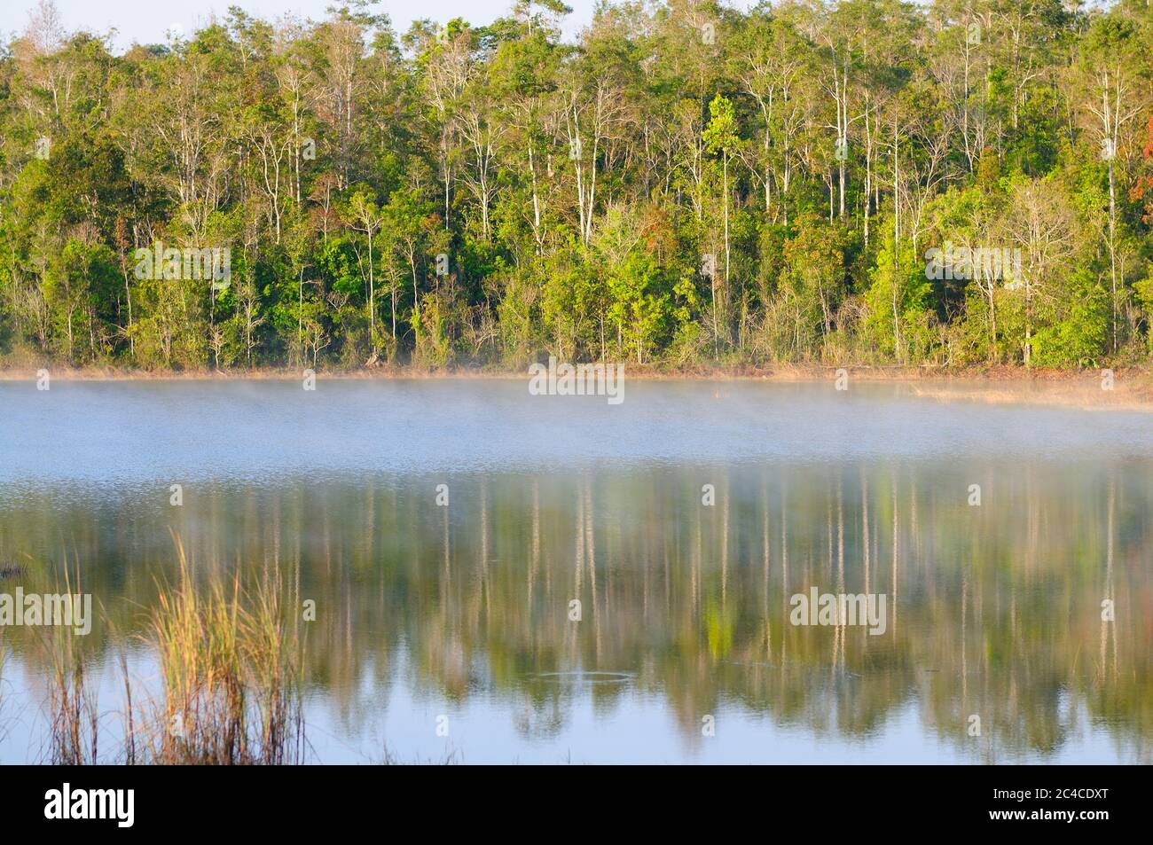 Steam Fog Rising from a Lake Stock Photo - Alamy