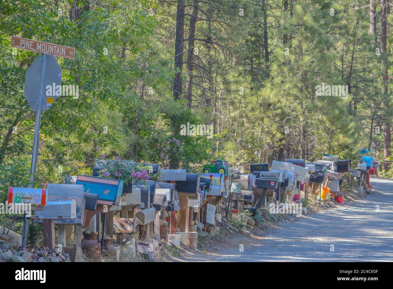 A long row of mailboxes in Prescott National Forest, Yavapai County ...