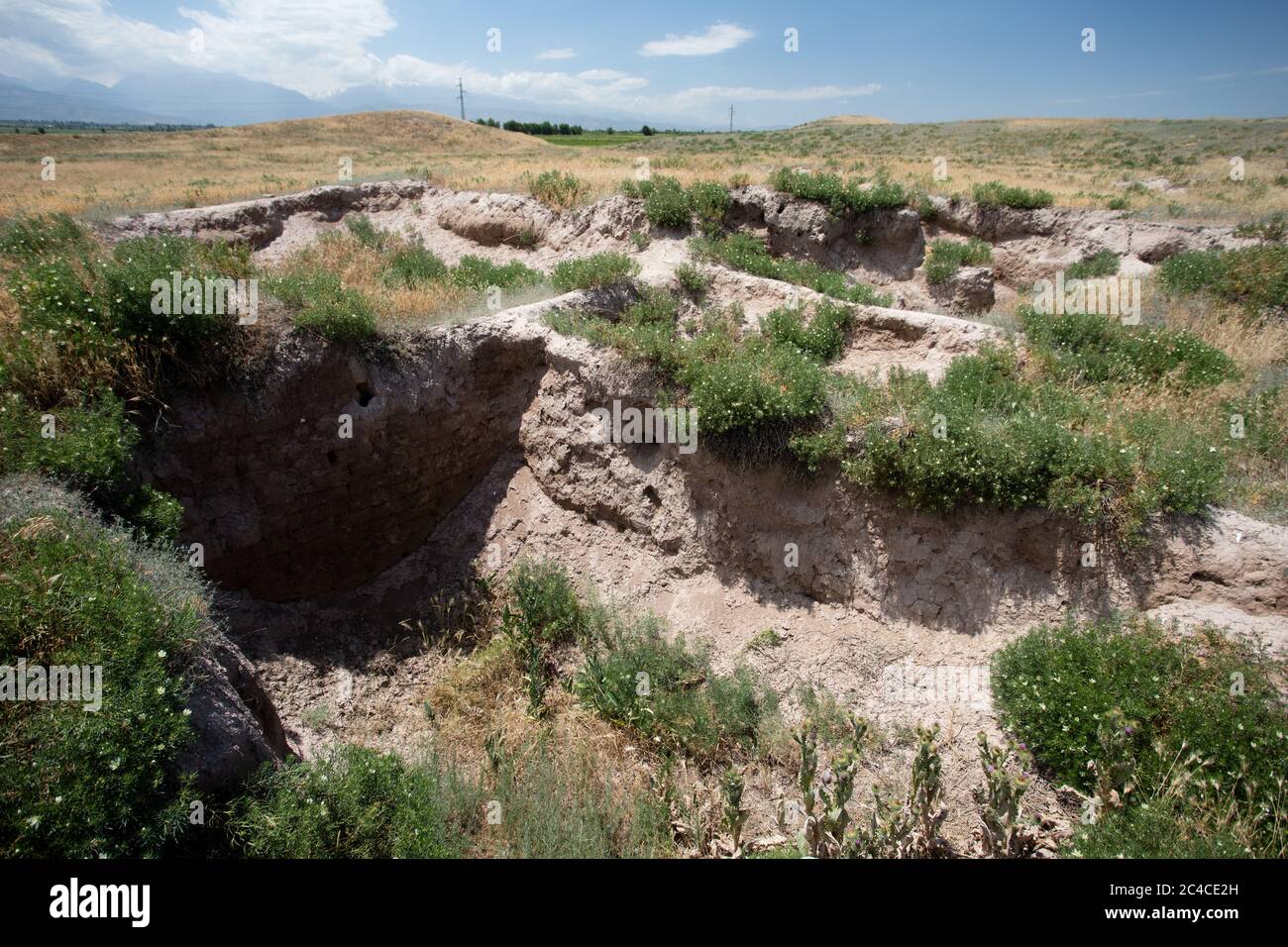 Aecharological site hi-res stock photography and images - Alamy