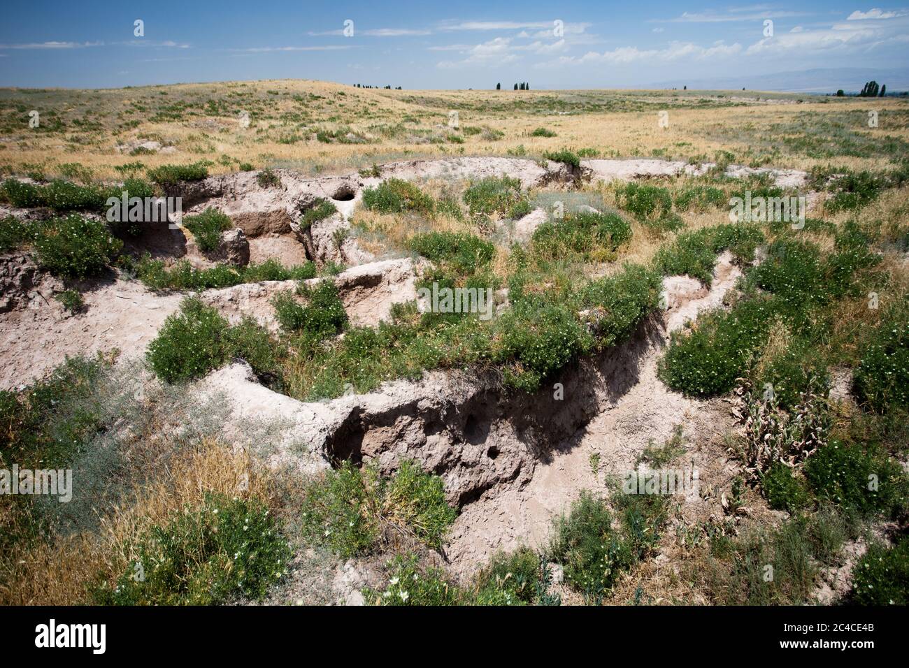 Scene from Suyab archaeological site in Chuy oblast of Kyrgyzstan Stock ...