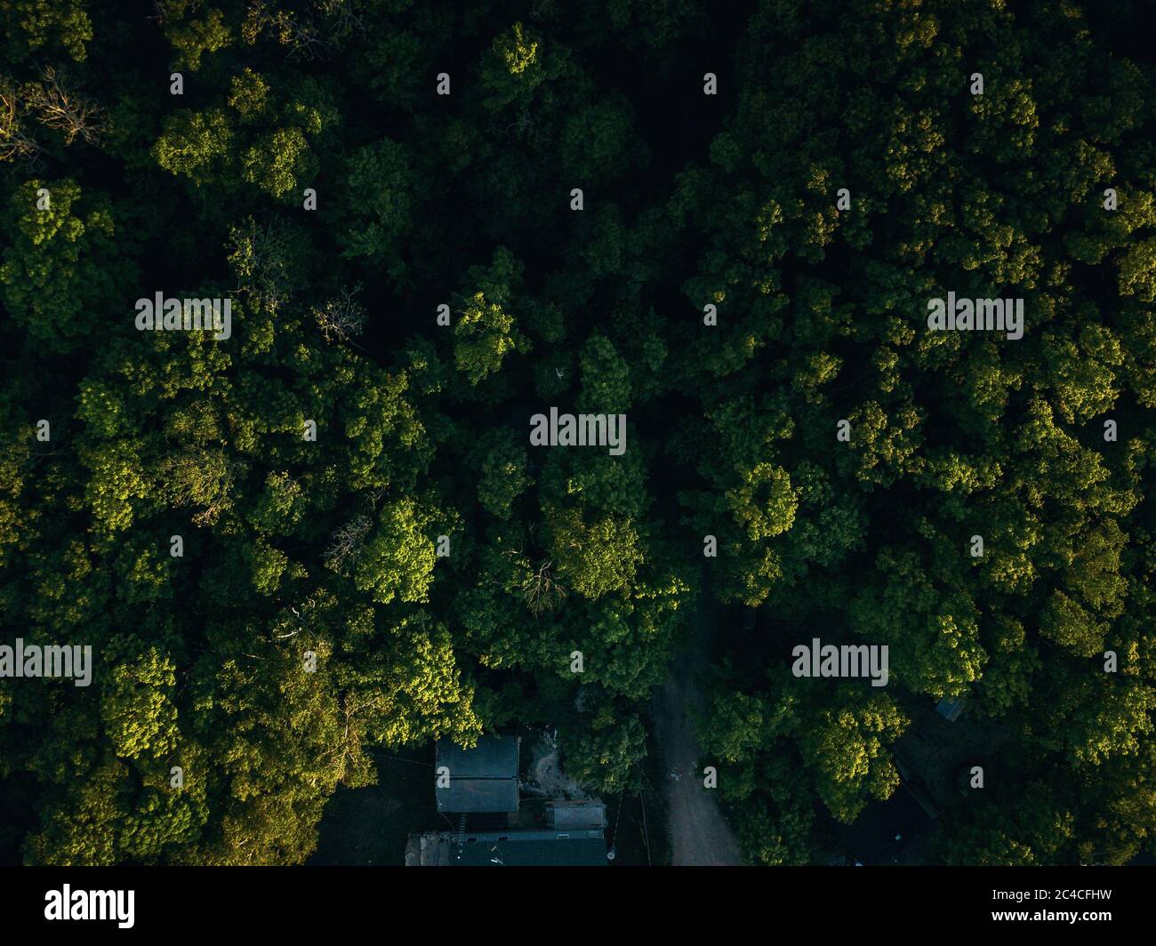 Aerial View of a Green Countryside Campground in the Middle of a Forest ...