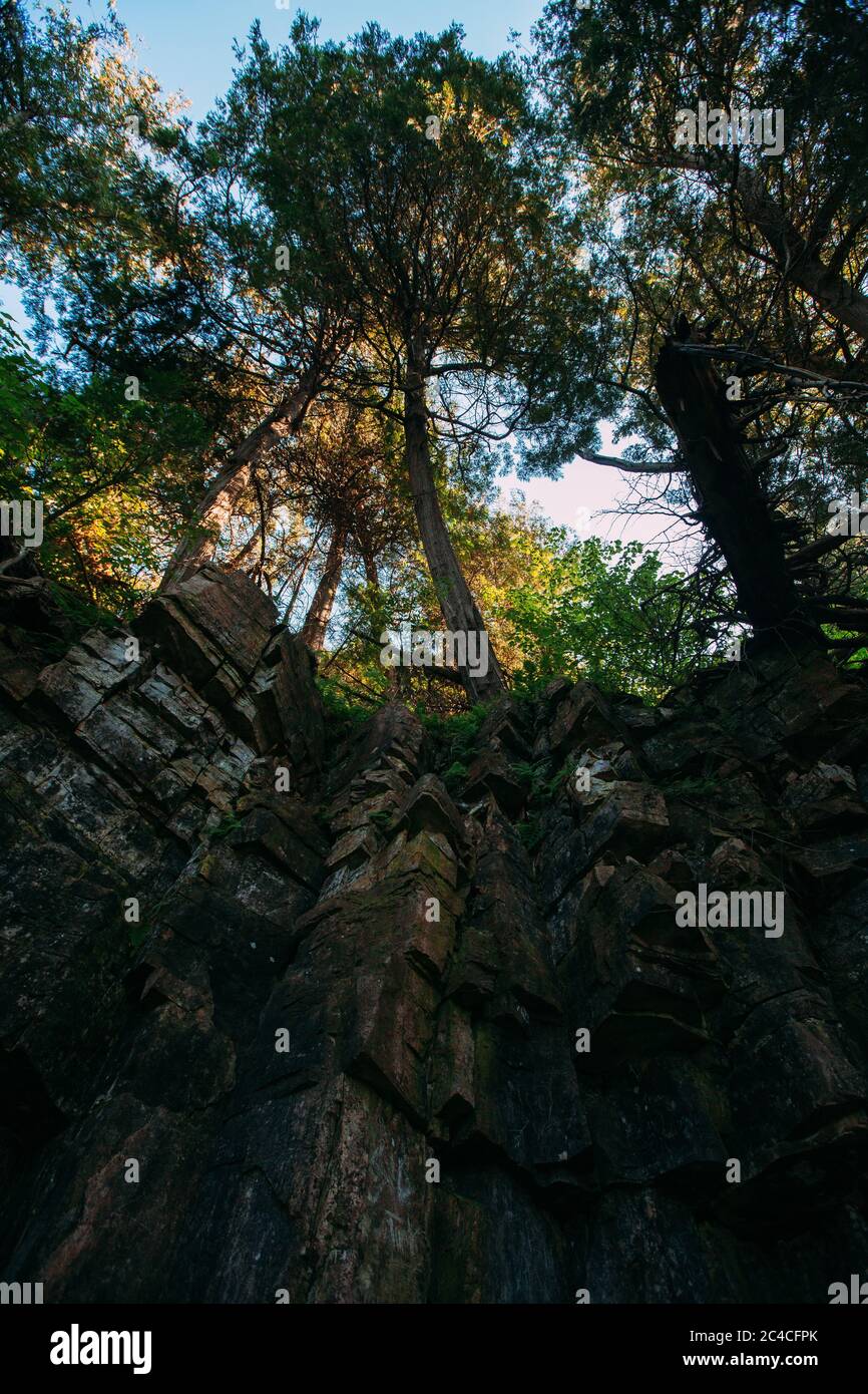 A View of Wisonsin's Rocky Rugged Natural Forest Landscape while Hiking ...
