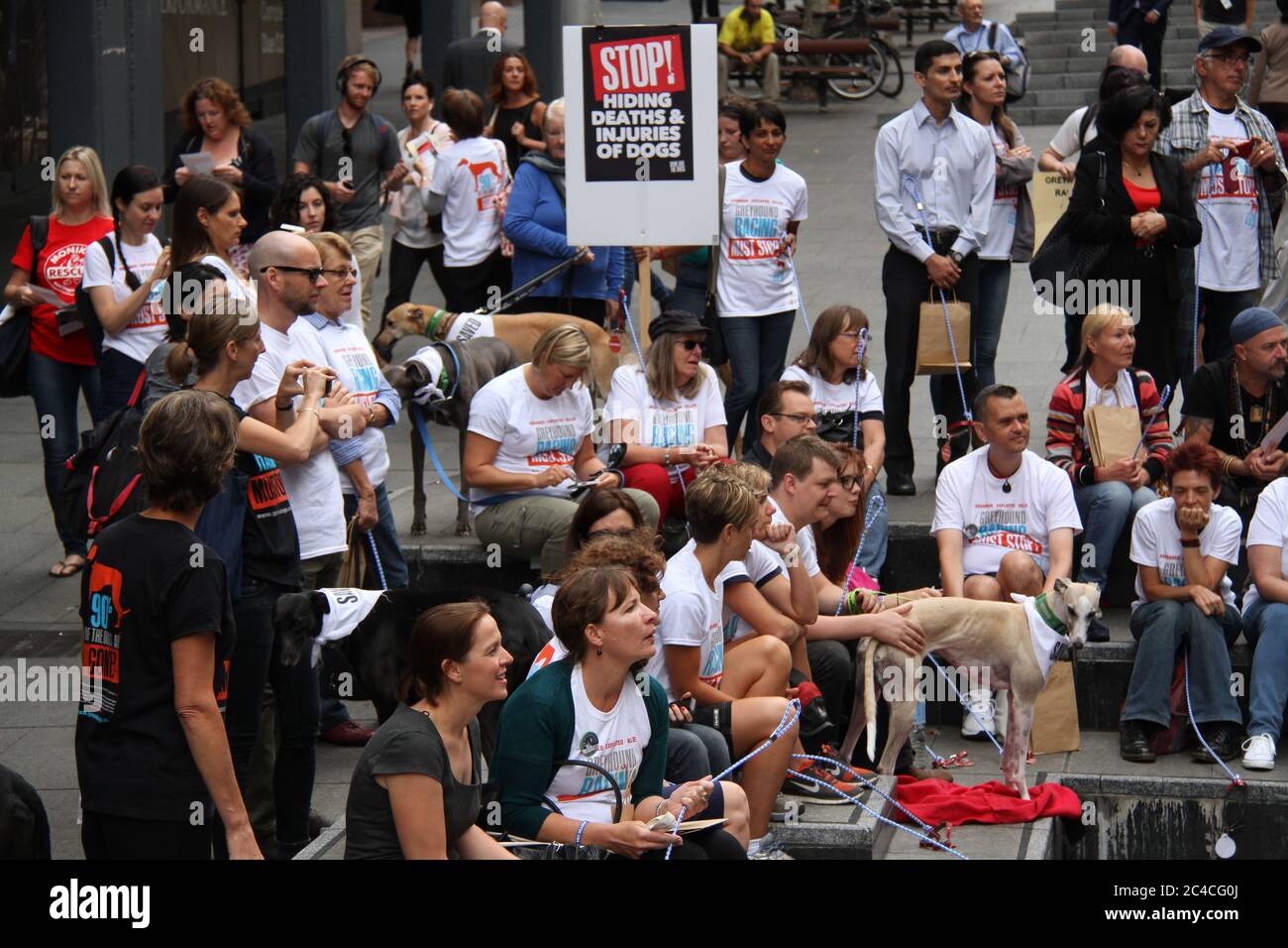 Protesters gather in Martin Place, Sydney to protest against the ...