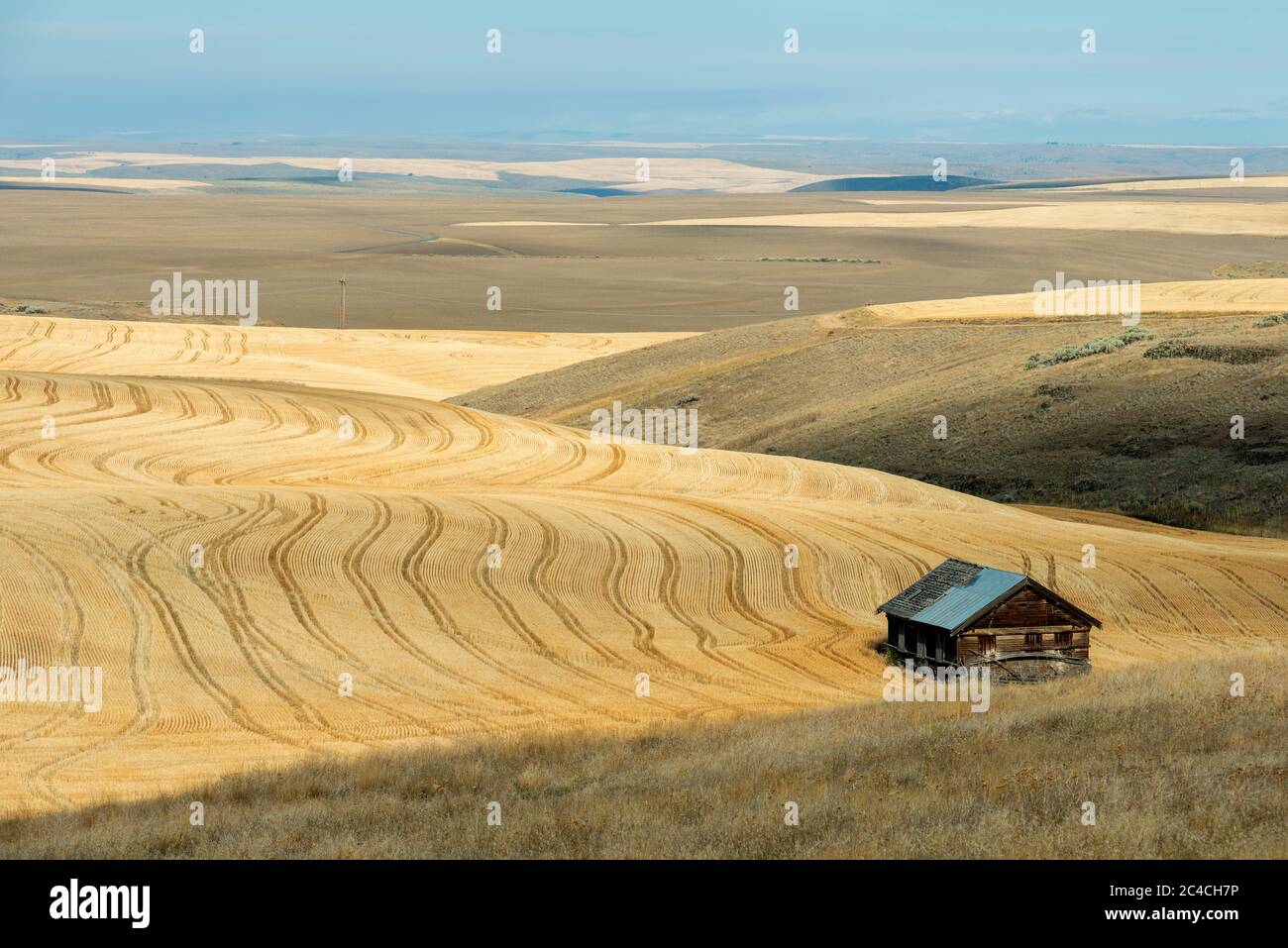 Wheat field farm house in distance hi-res stock photography and images ...