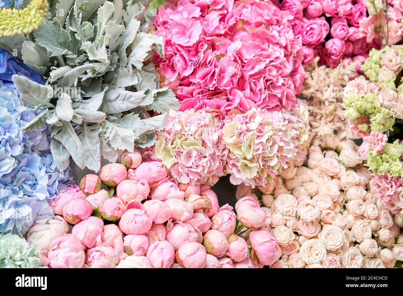 Floral carpet or Wallpaper. Background of mix of flowers. Beautiful ...