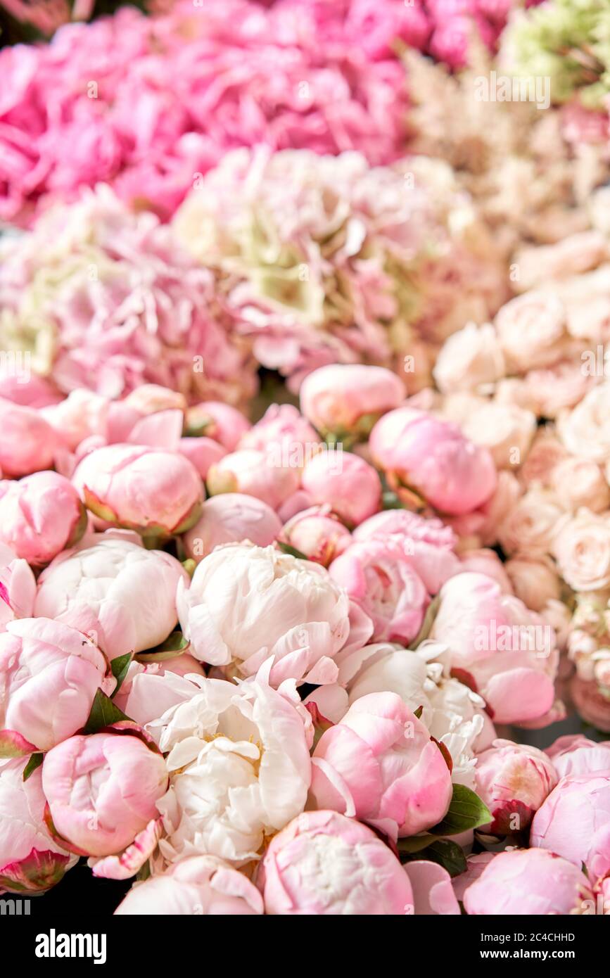 Floral carpet or Wallpaper. Background of mix of flowers. Beautiful ...