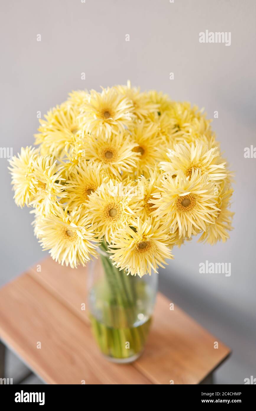 Beautiful flower composition. Sunny yellow gerbera flower heads in ...