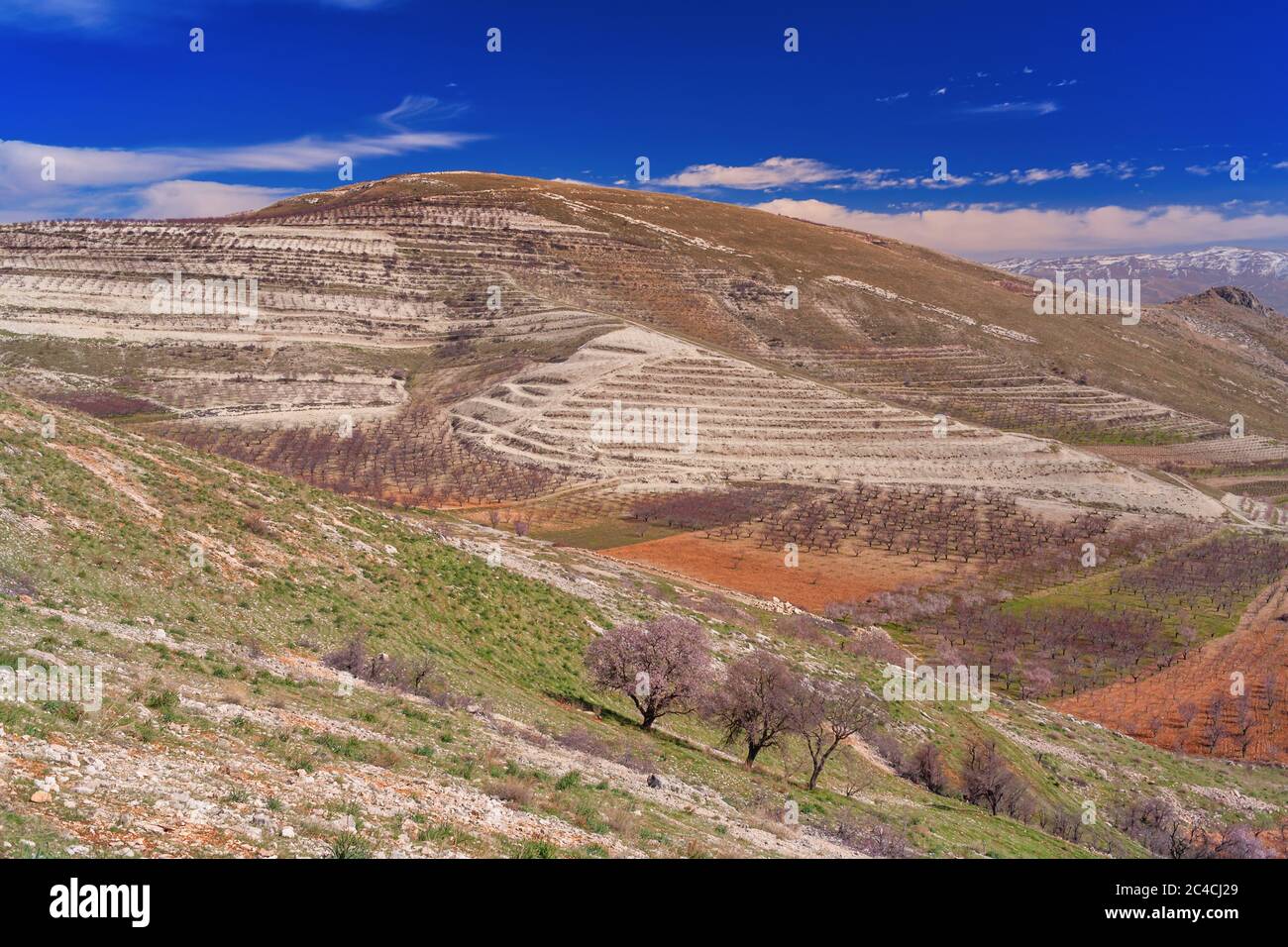 Niha bekaa valley lebanon hi-res stock photography and images - Alamy