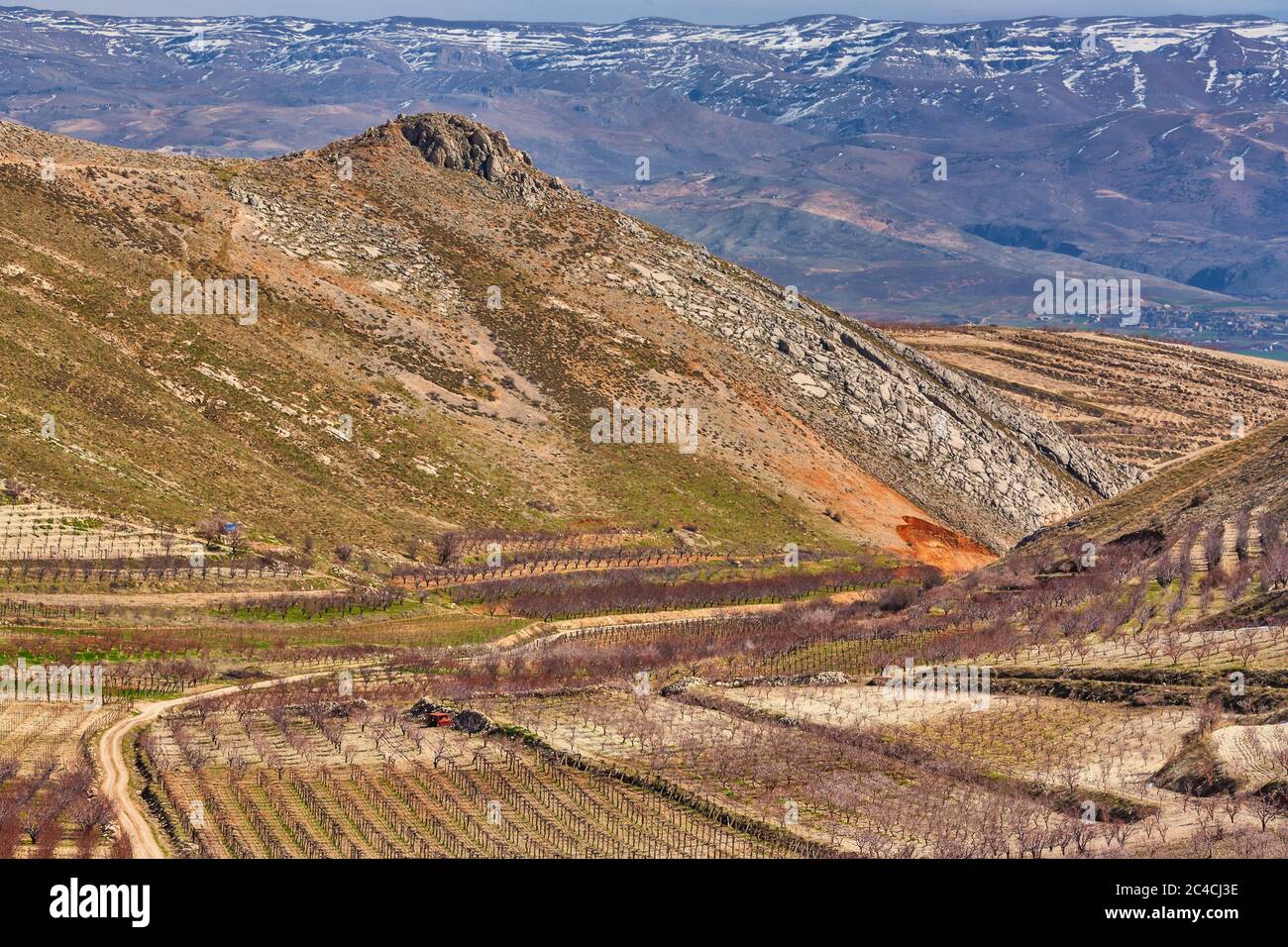 Niha, Bekaa valley, Lebanon Stock Photo - Alamy