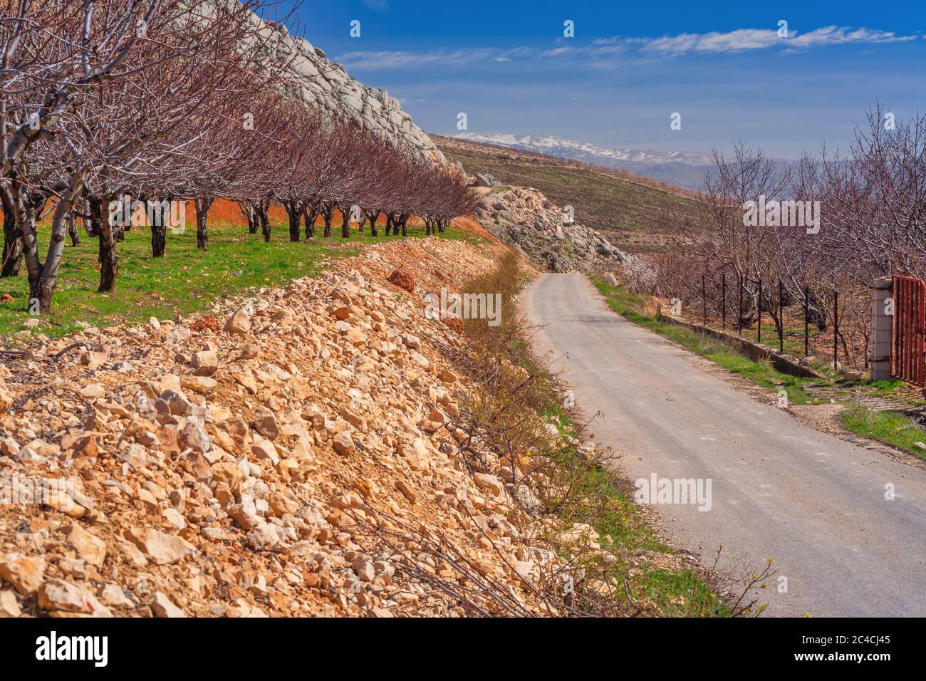 Niha bekaa valley lebanon hi-res stock photography and images - Alamy