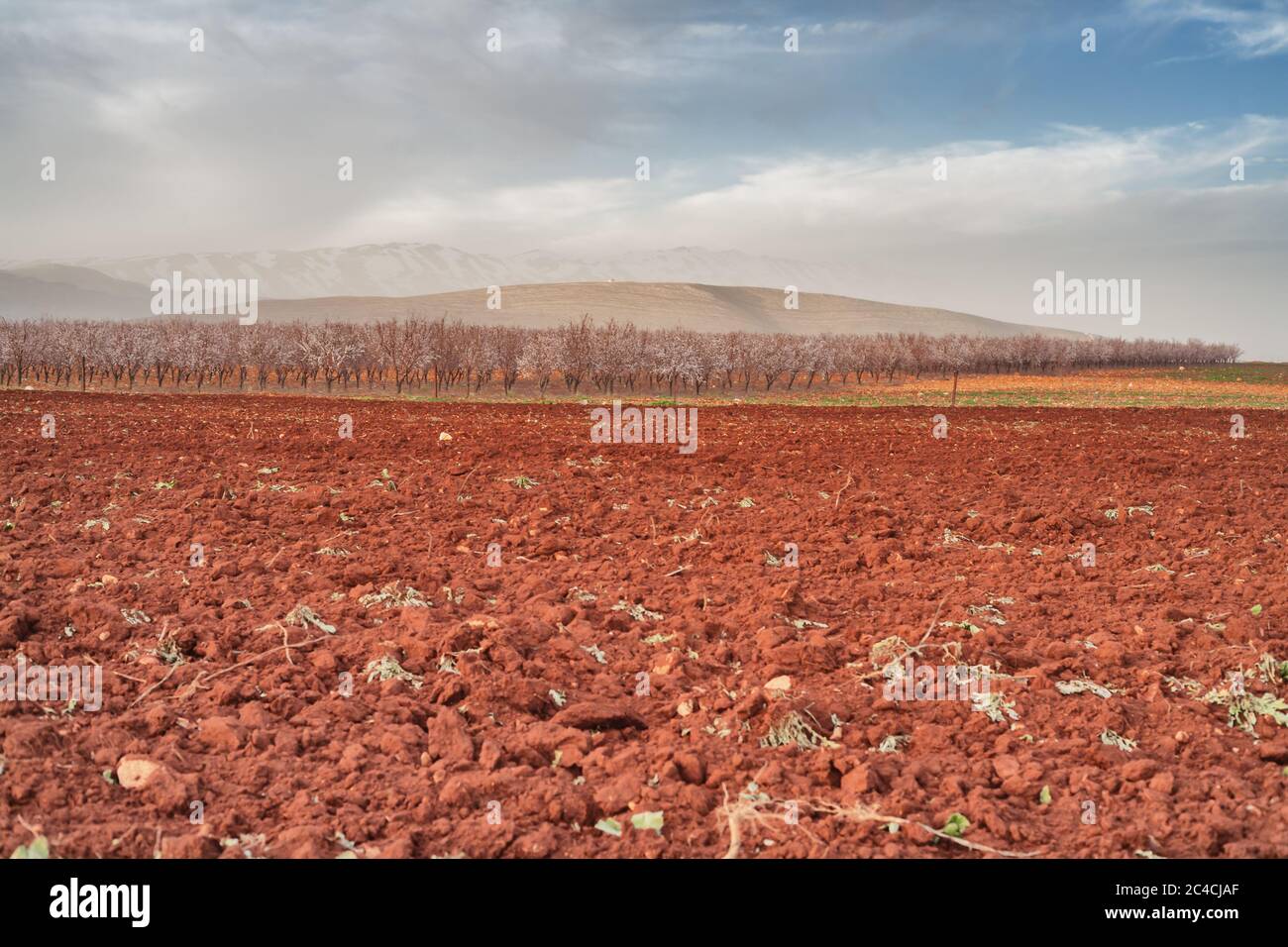 Farm land, Bekaa valley, Lebanon Stock Photo - Alamy
